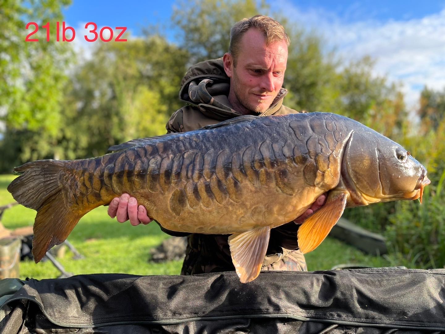 Perfect | Total Carp